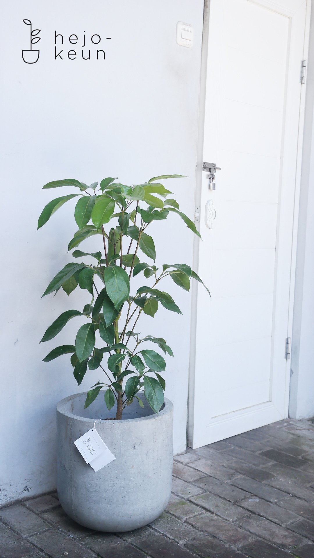 NEWS - RIRE Landscape StudioRIRE Landscape Studio | Konsultan Landscape ...